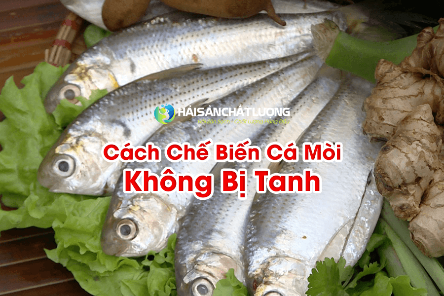 Cách Chế Biến Cá Mòi Không Bị Tanh - Hải Sản Chất Lượng Tươi Ngon, Giá Tốt